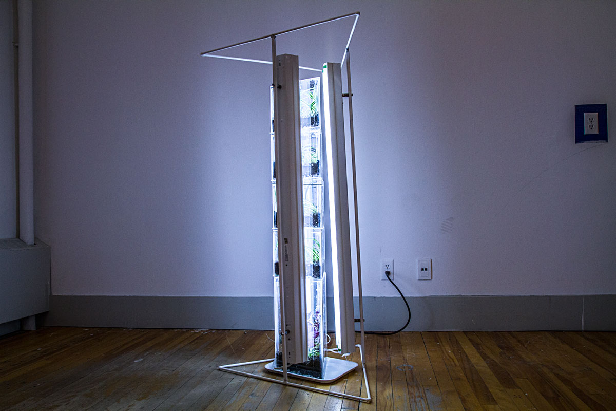 SpaceTerrariumWide – OUTDOOR SCHOOL