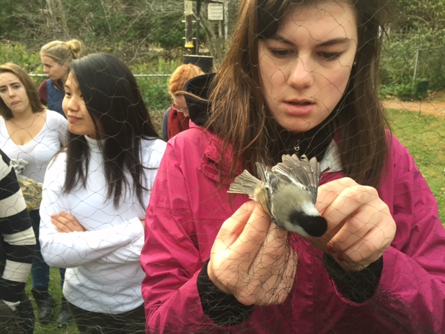 Bird Tagging – OUTDOOR SCHOOL