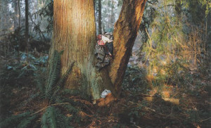 Gareth Moore – OUTDOOR SCHOOL